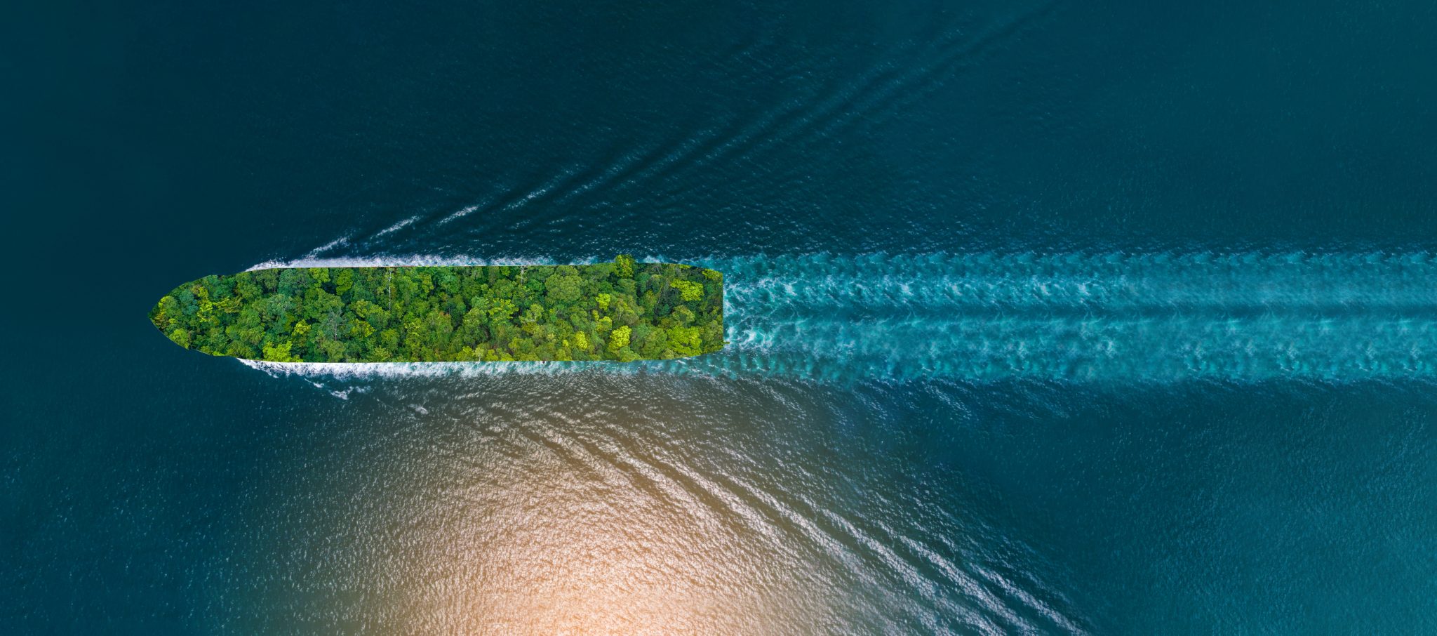 IACS Recommendations: Enhance Shipping Safety & Compliance